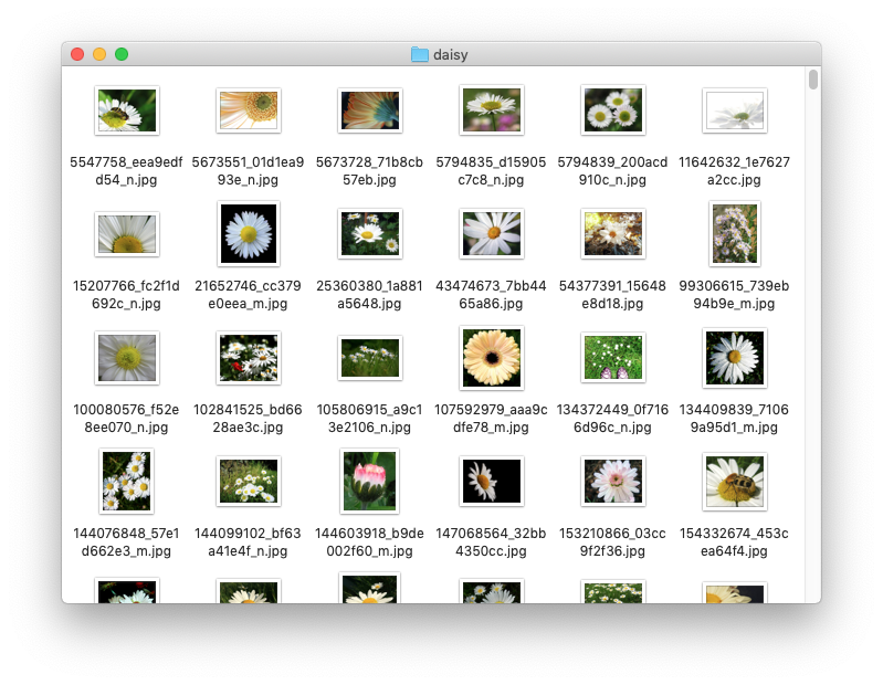 Train and deploy on-device image classification model with AutoML Vision in ML Kit | Google Codelabs