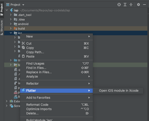 Adding in-app purchases to your Flutter app | Google Codelabs