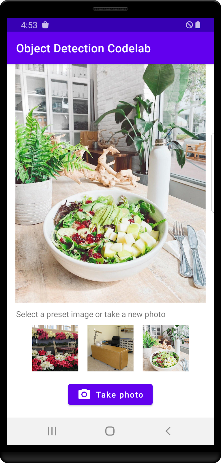 Detect objects in images with ML Kit: Android | Google Codelabs