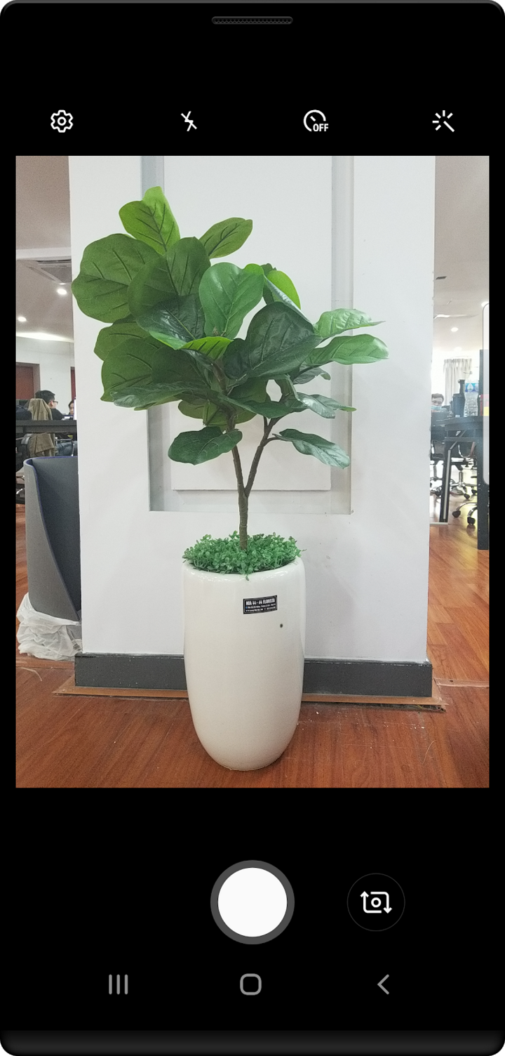 Detect objects in images with ML Kit: Android | Google Codelabs