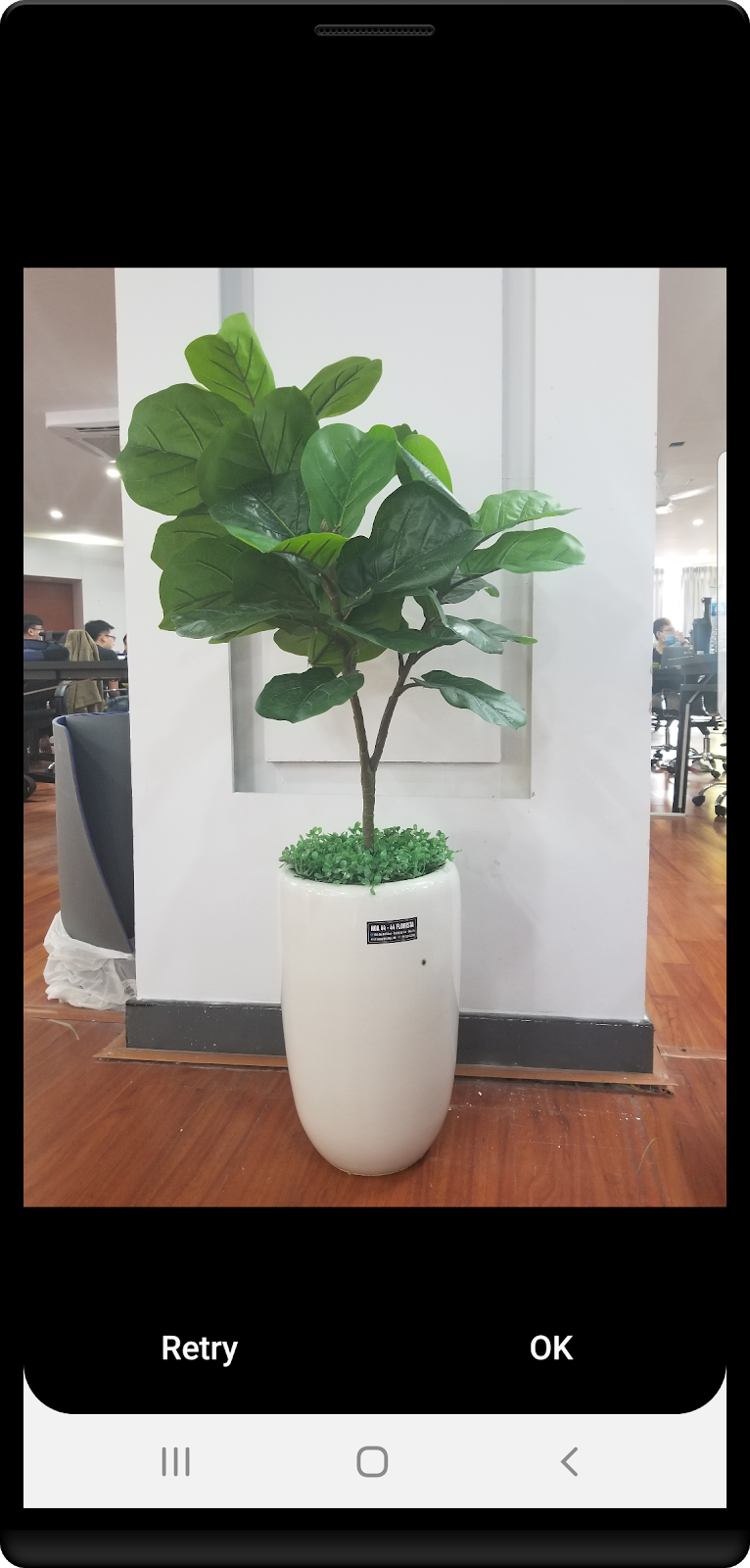 Detect objects in images with ML Kit: Android | Google Codelabs