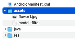 Integrate a Custom Model into your App | Google Codelabs