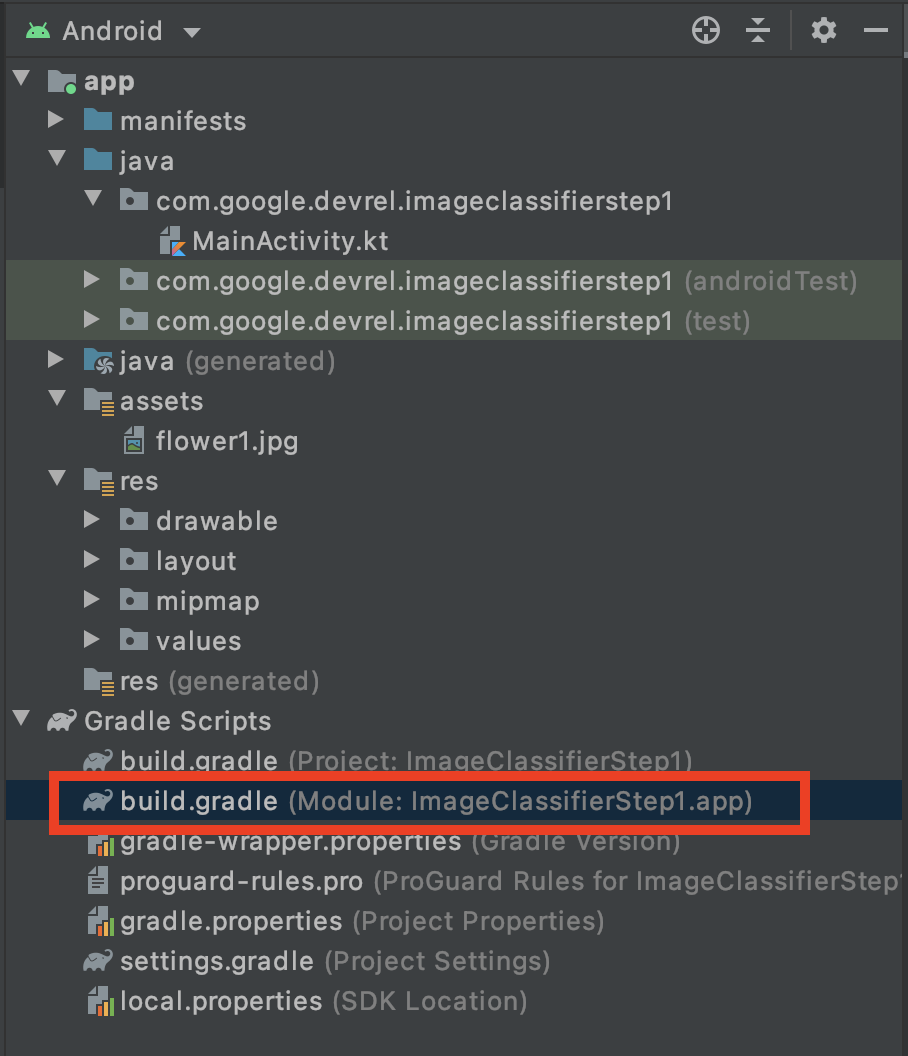 Integrate a Custom Model into your App | Google Codelabs