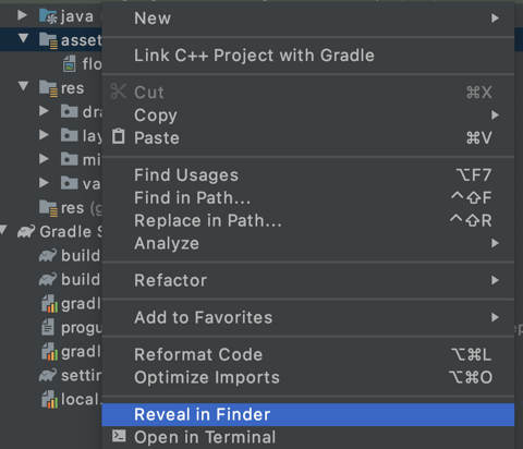 Integrate a Custom Model into your App | Google Codelabs