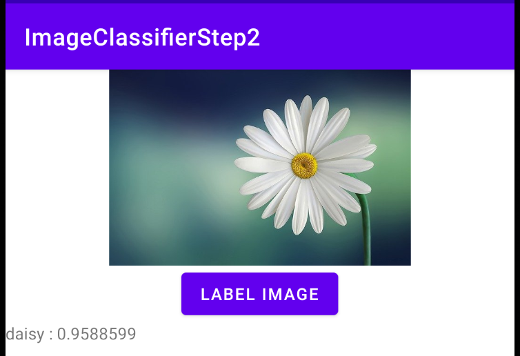 Integrate a Custom Model into your App | Google Codelabs