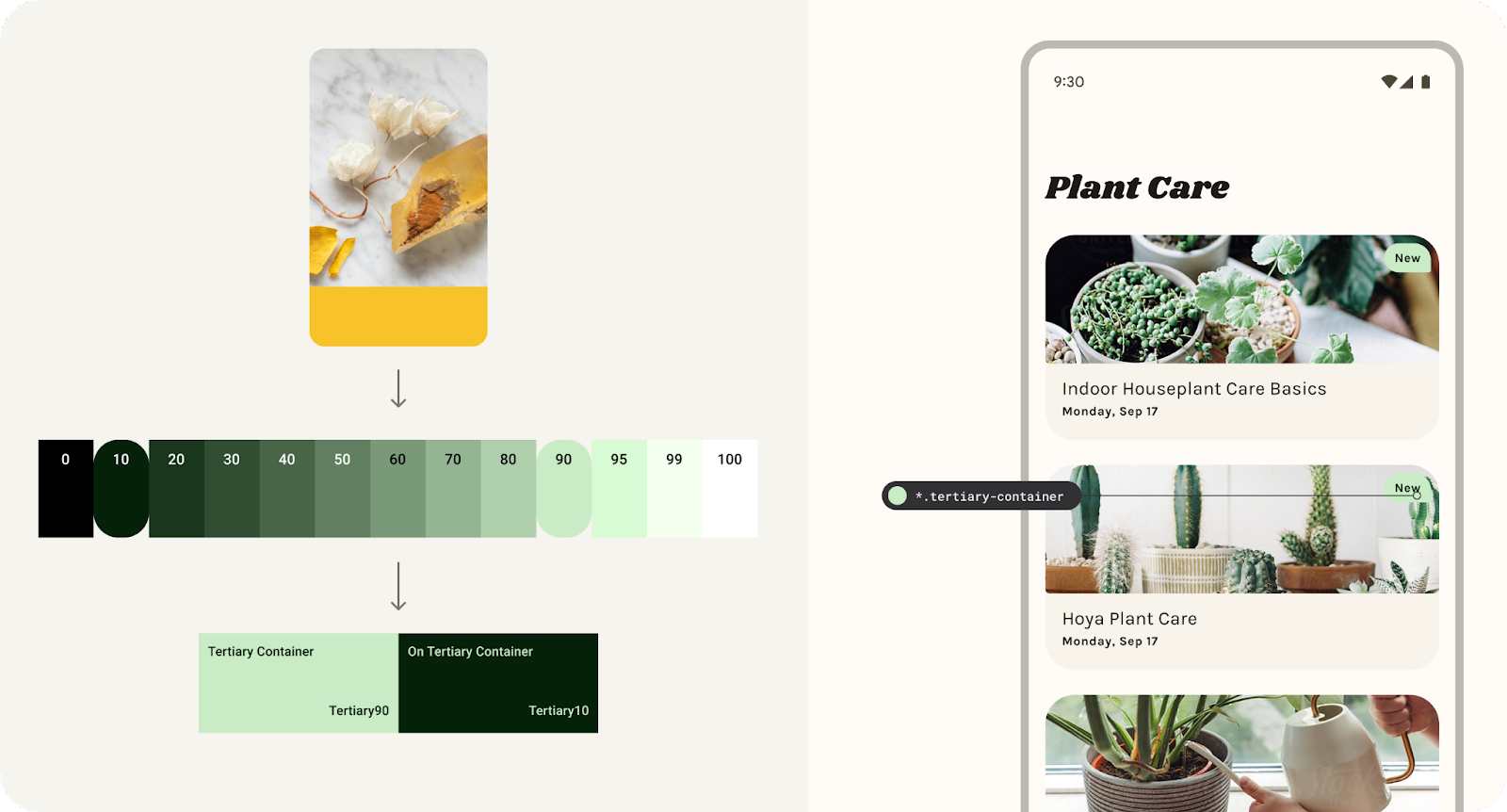 Visualizing dynamic color in your app | Google Codelabs
