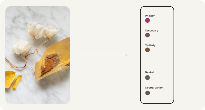 Visualizing dynamic color in your app | Google Codelabs